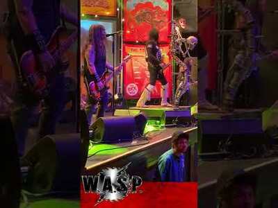 WASP Nation Official | Link in Bio