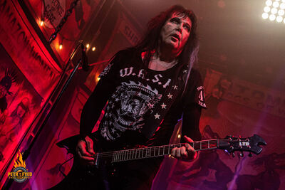 WASP Nation Official | Link in Bio